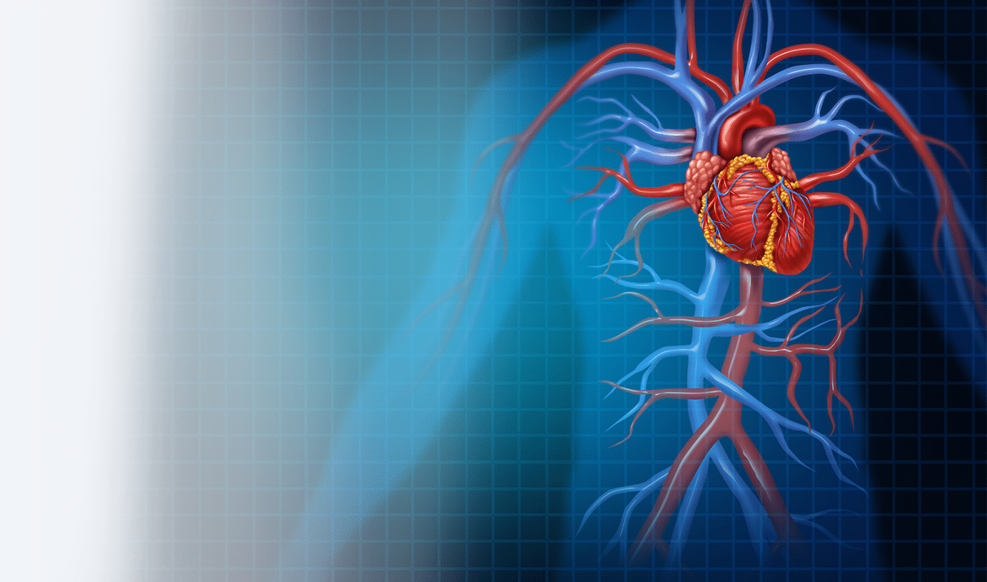 Vascular Surgeon Brisbane - Dr Peter Hansen